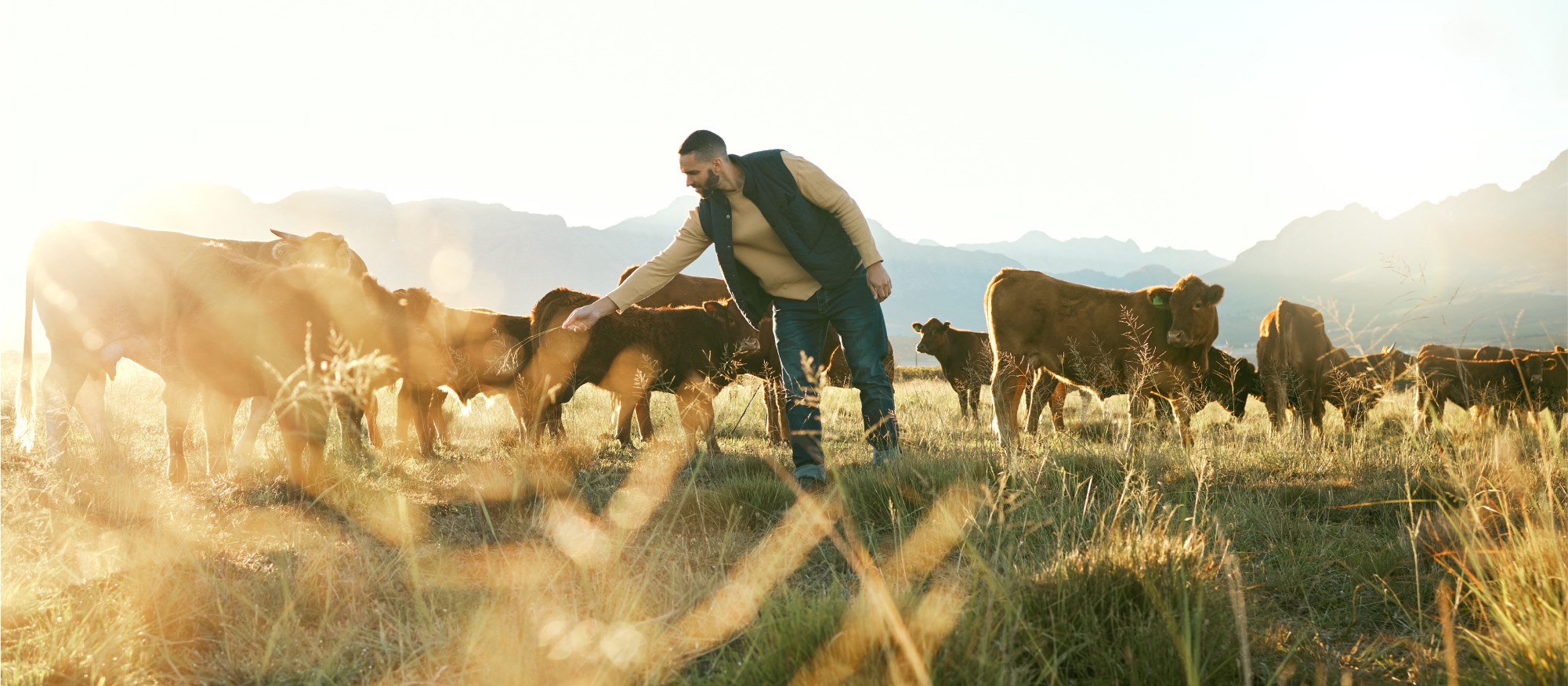 Our farmers - farm hub